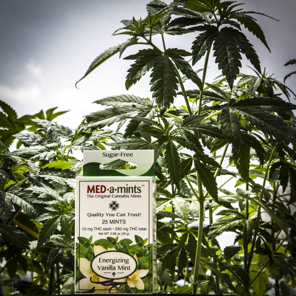 medamints-potent-thc-cannabis-marijuana-mints-024 - MEDAMINTS