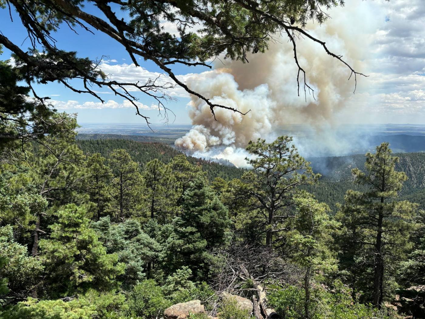 Oak Ridge fire grows to 1,100 acres on U.S. Forest Service land in ...