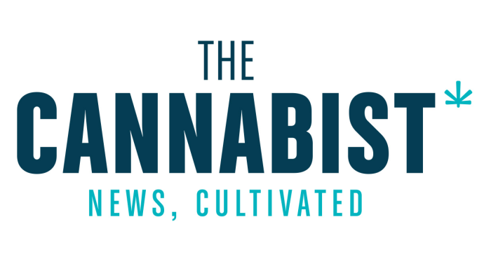 Strong and weatherproof tarps for ultimate outdoor protection - MEDAMINTS